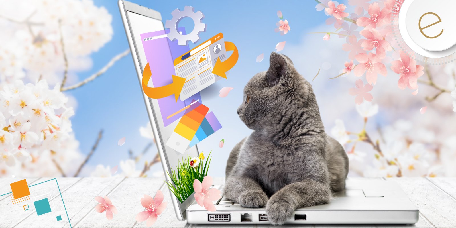 Springtime Refresh for your Website!